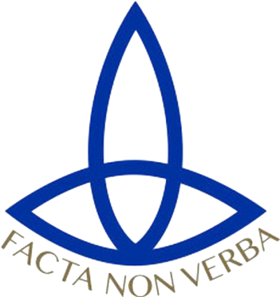 Gallery – Multi TRADE Solutions